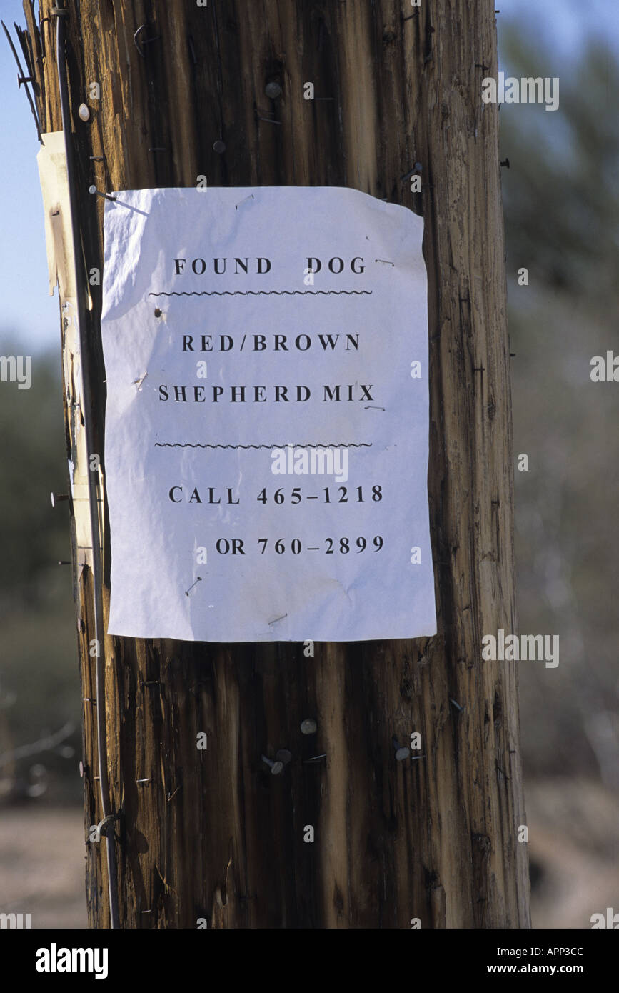 Flyer on pole hi-res stock photography and images - Alamy