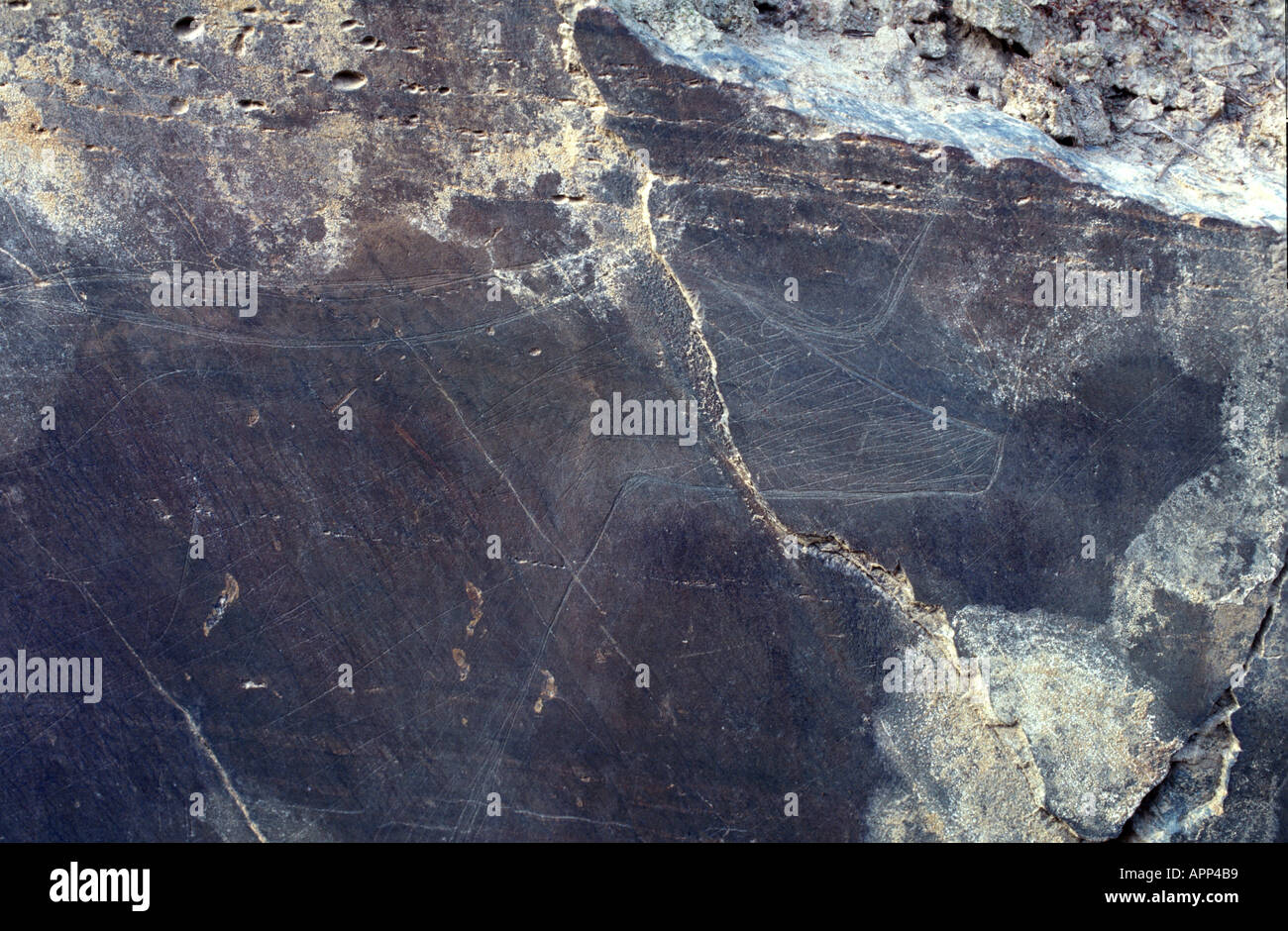 Paleolithic rock engravings discovered next to the Coa river North East ...