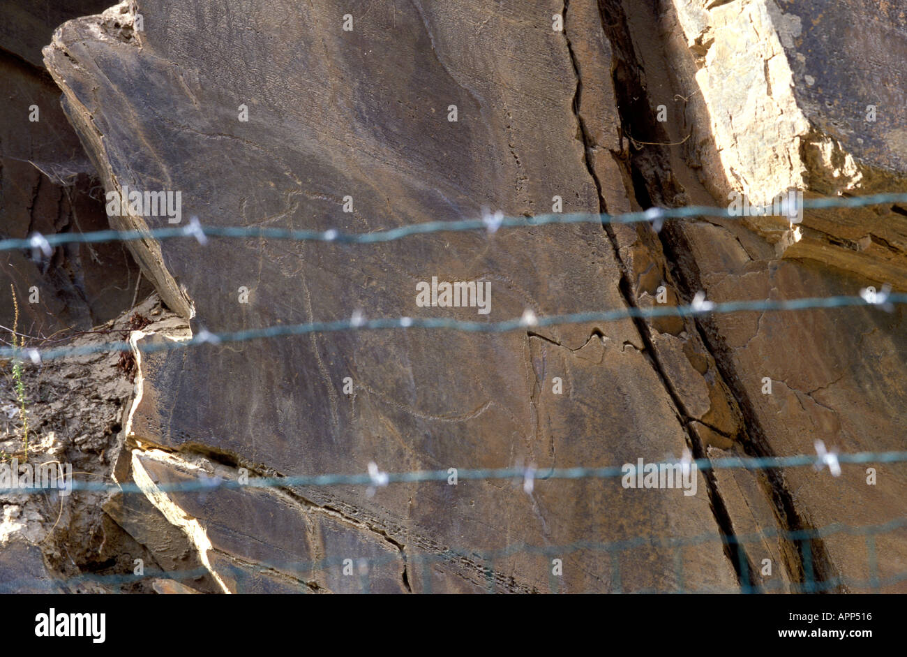 Paleolithic rock engravings discovered next to the Coa river North East ...