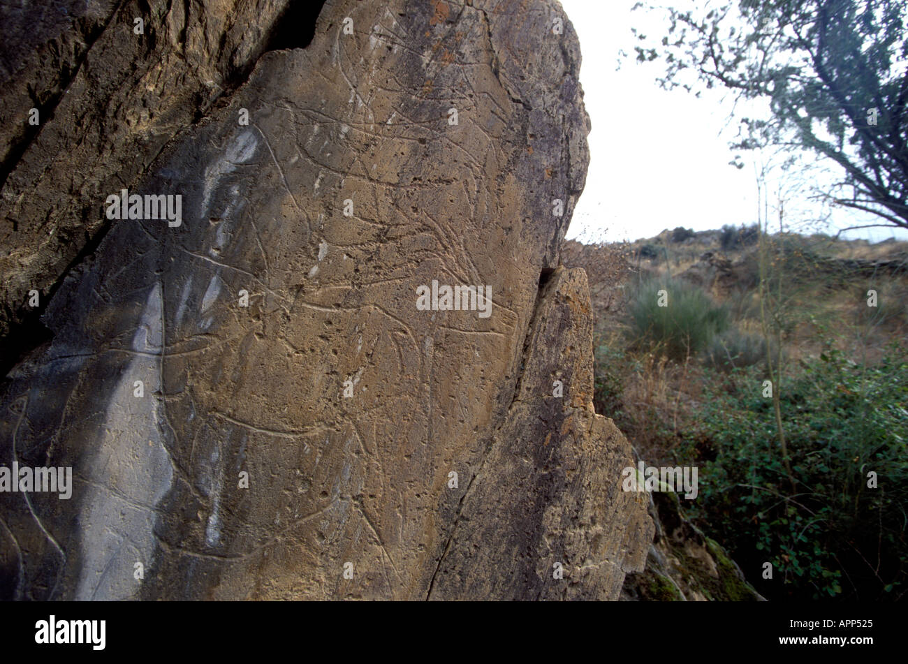 Paleolithic rock engravings discovered next to the Coa river North East ...