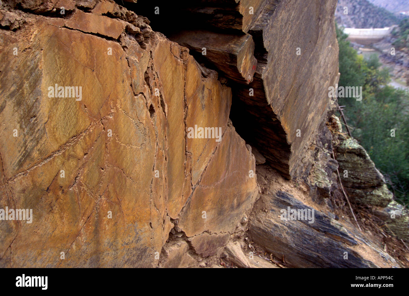Paleolithic rock engravings discovered next to the Coa river North East ...