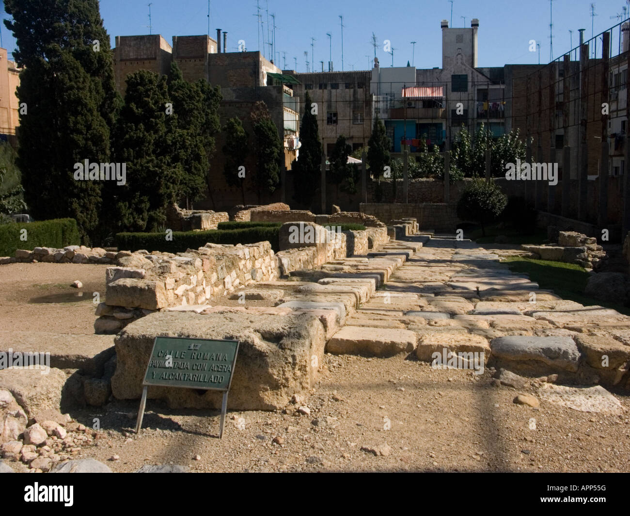Remains of paved street and houses in the Roman local colonial city ...