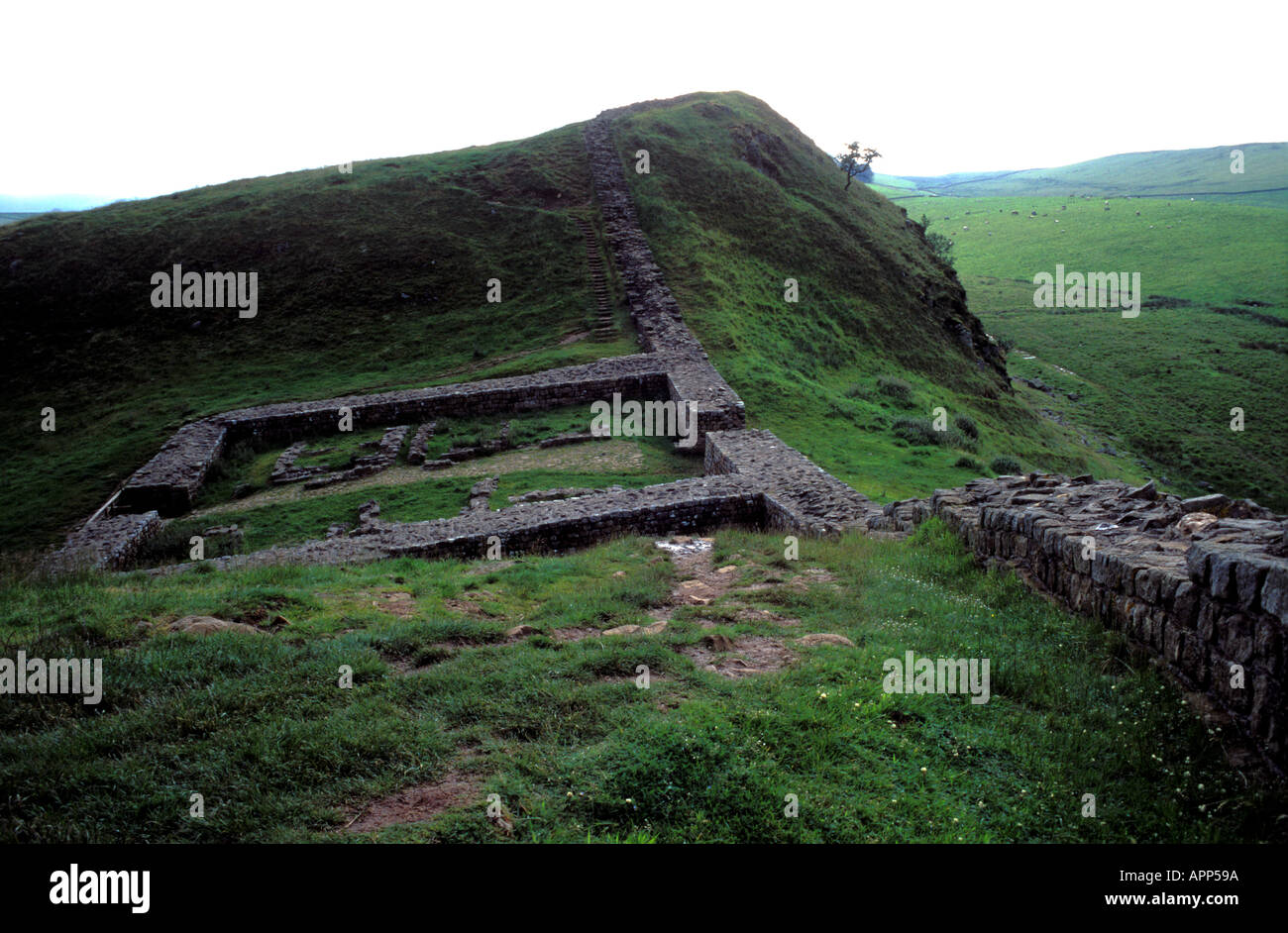 Remains of a milecastle on Hadrians wall UK Stock Photo - Alamy