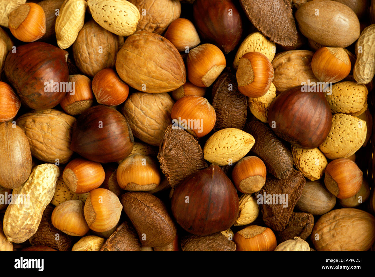 Collection of various unshelled edible tree nuts showing a range of ...