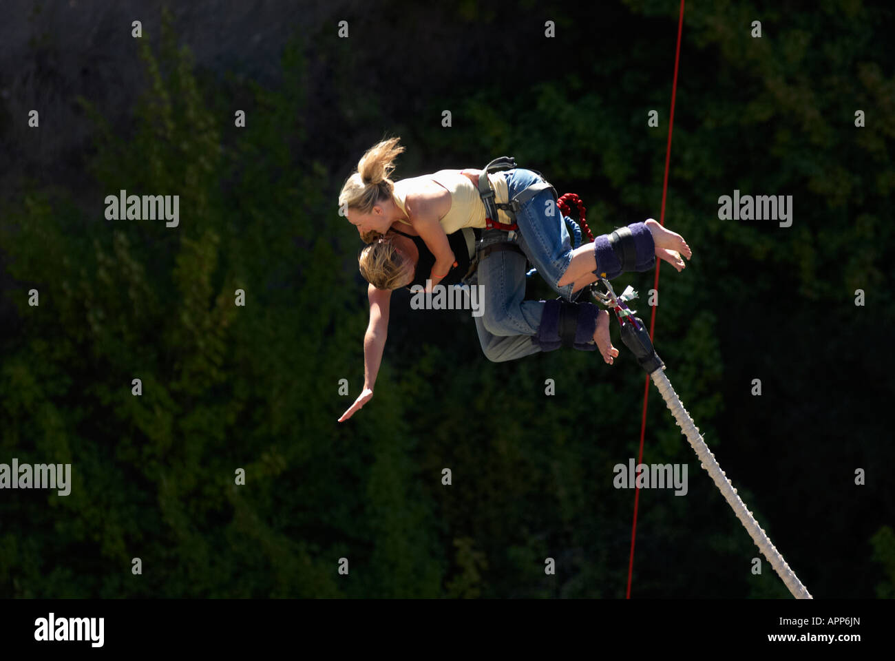 Two girls bungee jumping in tandem from the A J Hackett Bridge over the ...