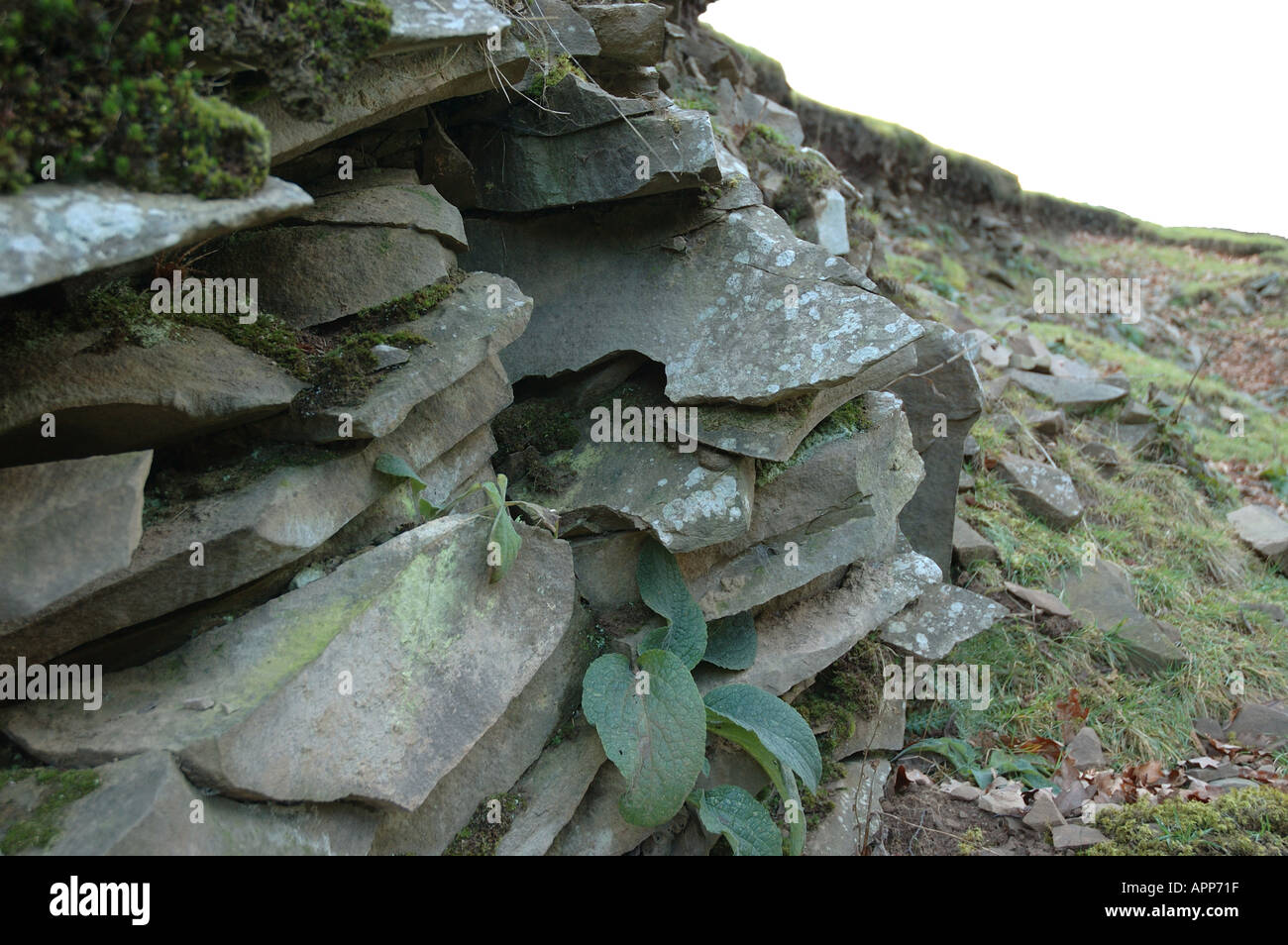 Jagged edge stone hi-res stock photography and images - Alamy