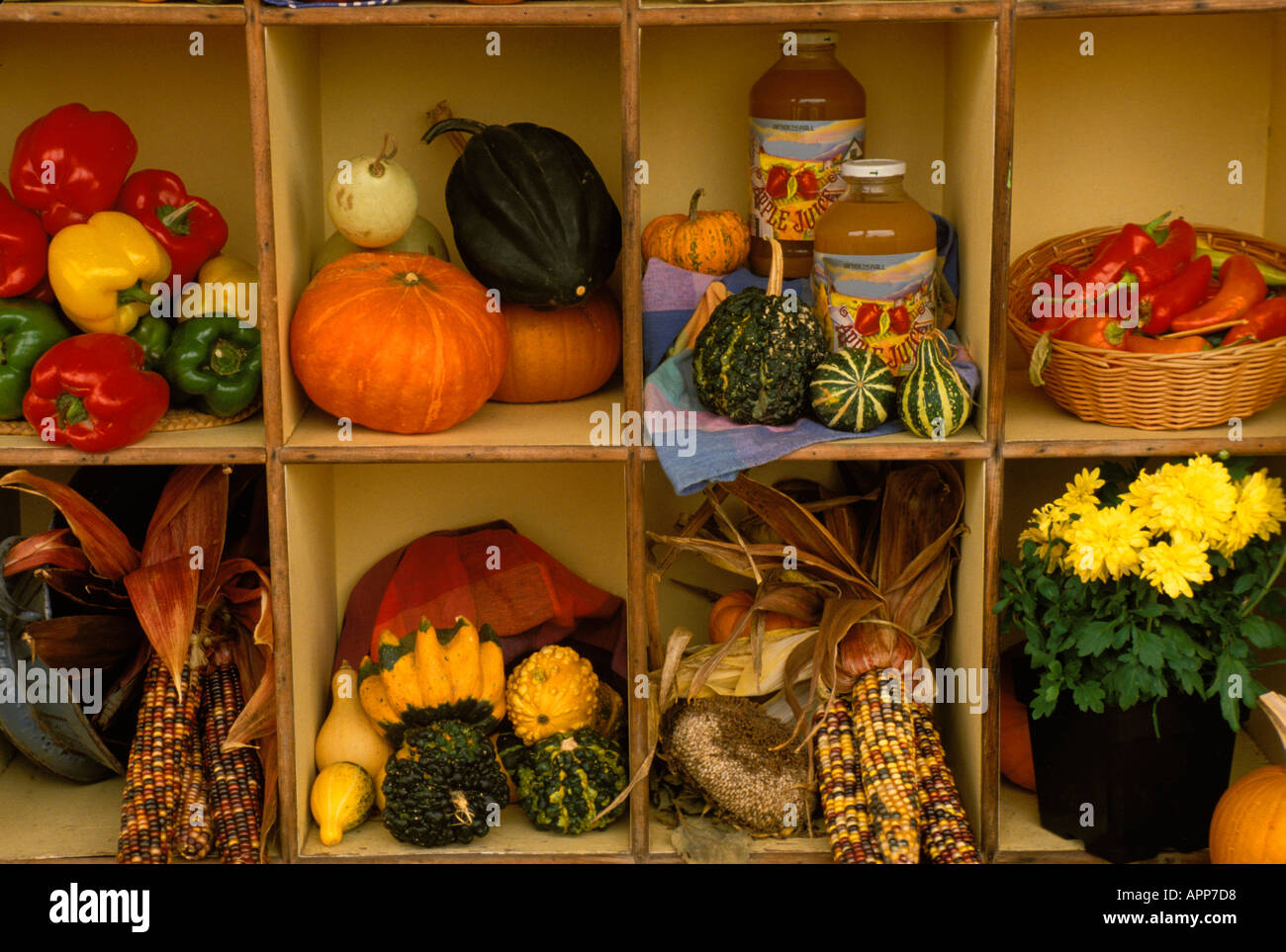 Farmer's market shelves with colorful garden produce of autumn for ...