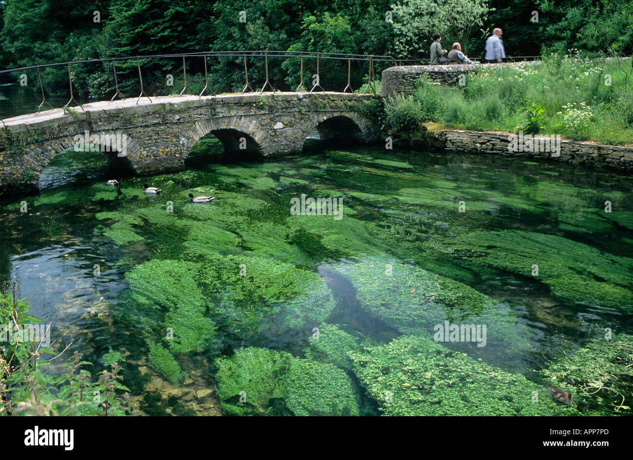 A small three arch bridge across the River Coln in Bibury Stock Photo ...