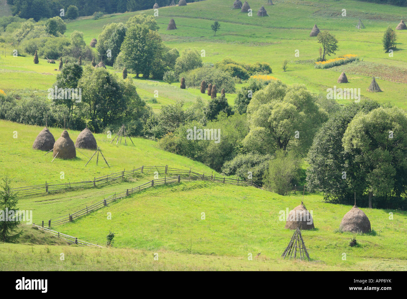 Rural ukrainian landscape hi-res stock photography and images - Alamy