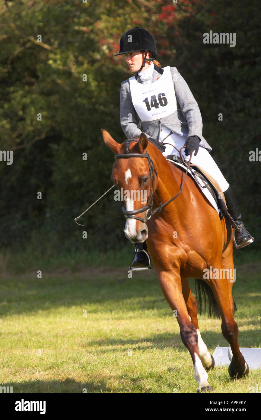 Dressage number hi-res stock photography and images - Alamy