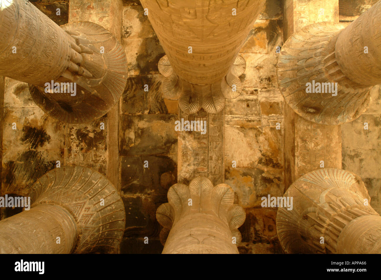 Columns and roof of Edfu temple in Egypt Stock Photo - Alamy