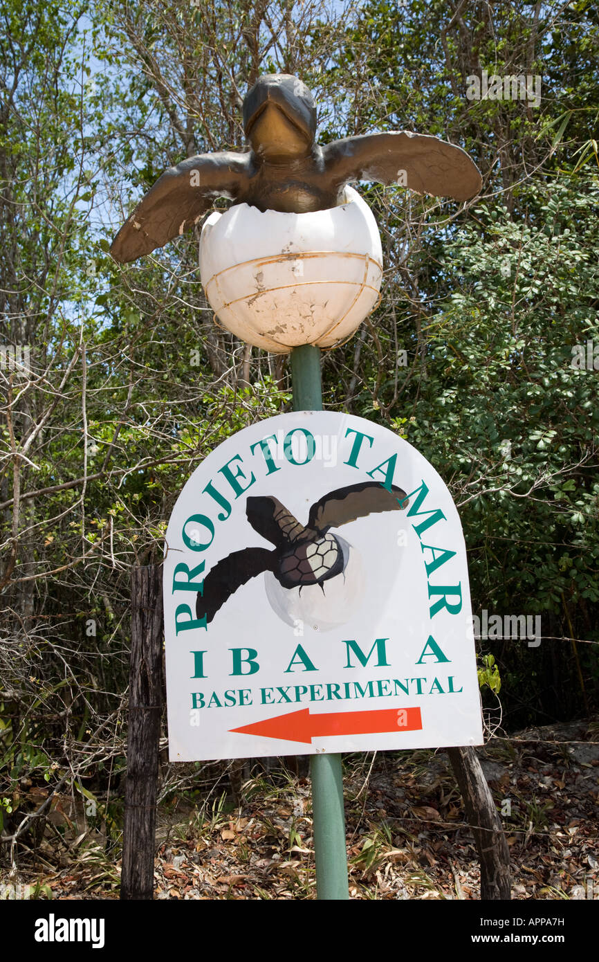 Ibama Logo