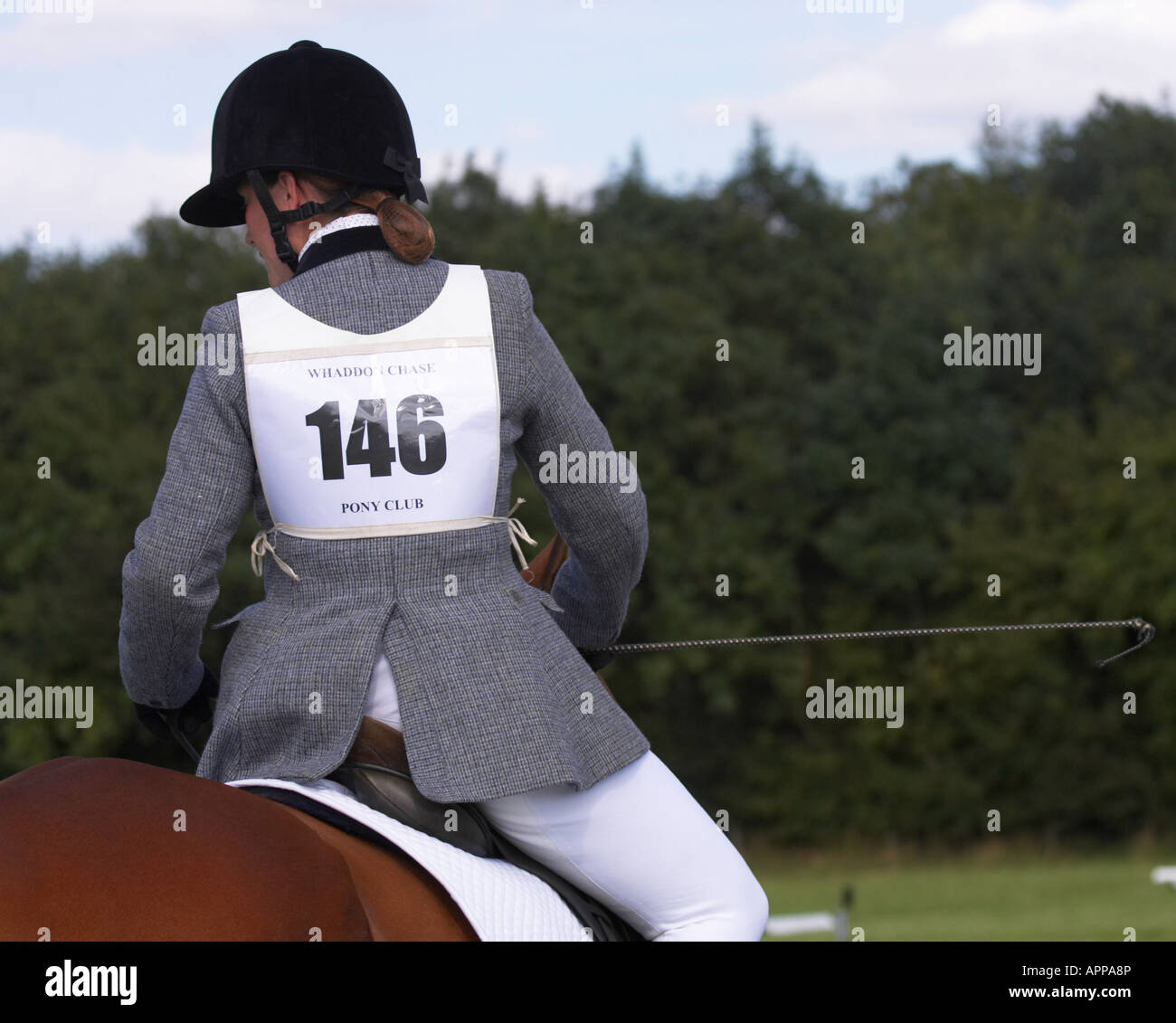 Dressage number hi-res stock photography and images - Alamy