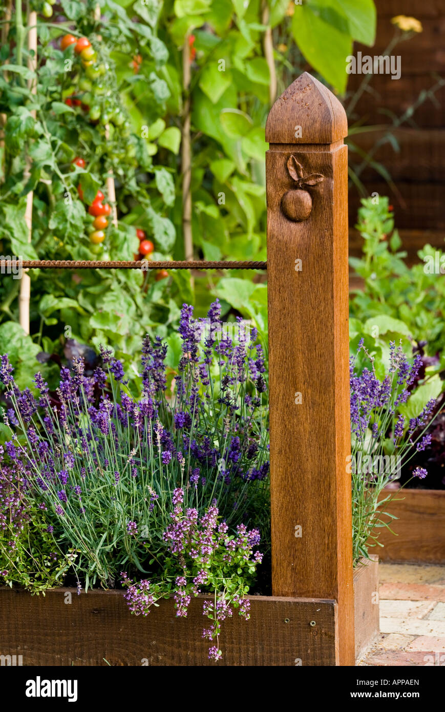 Decorative wooden post with lavender (Lavandula angustifolia Hidcote ...
