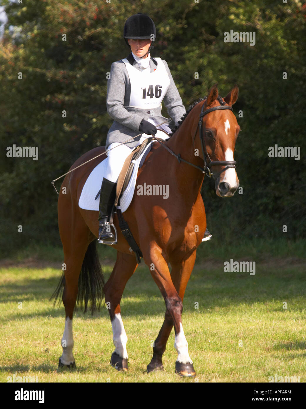 Dressage number hi-res stock photography and images - Alamy