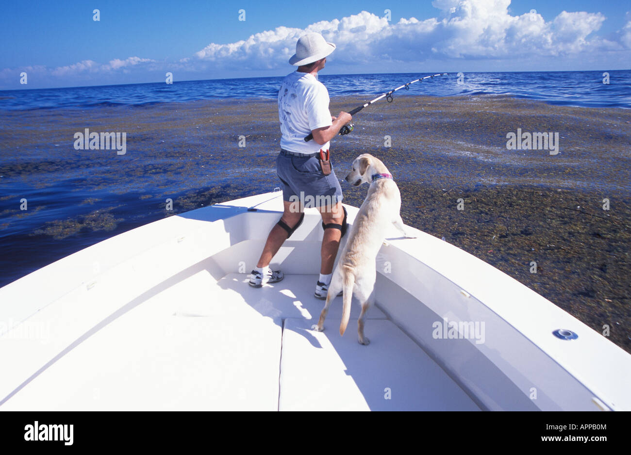 Man and dog fishing at sea Stock Photo - Alamy
