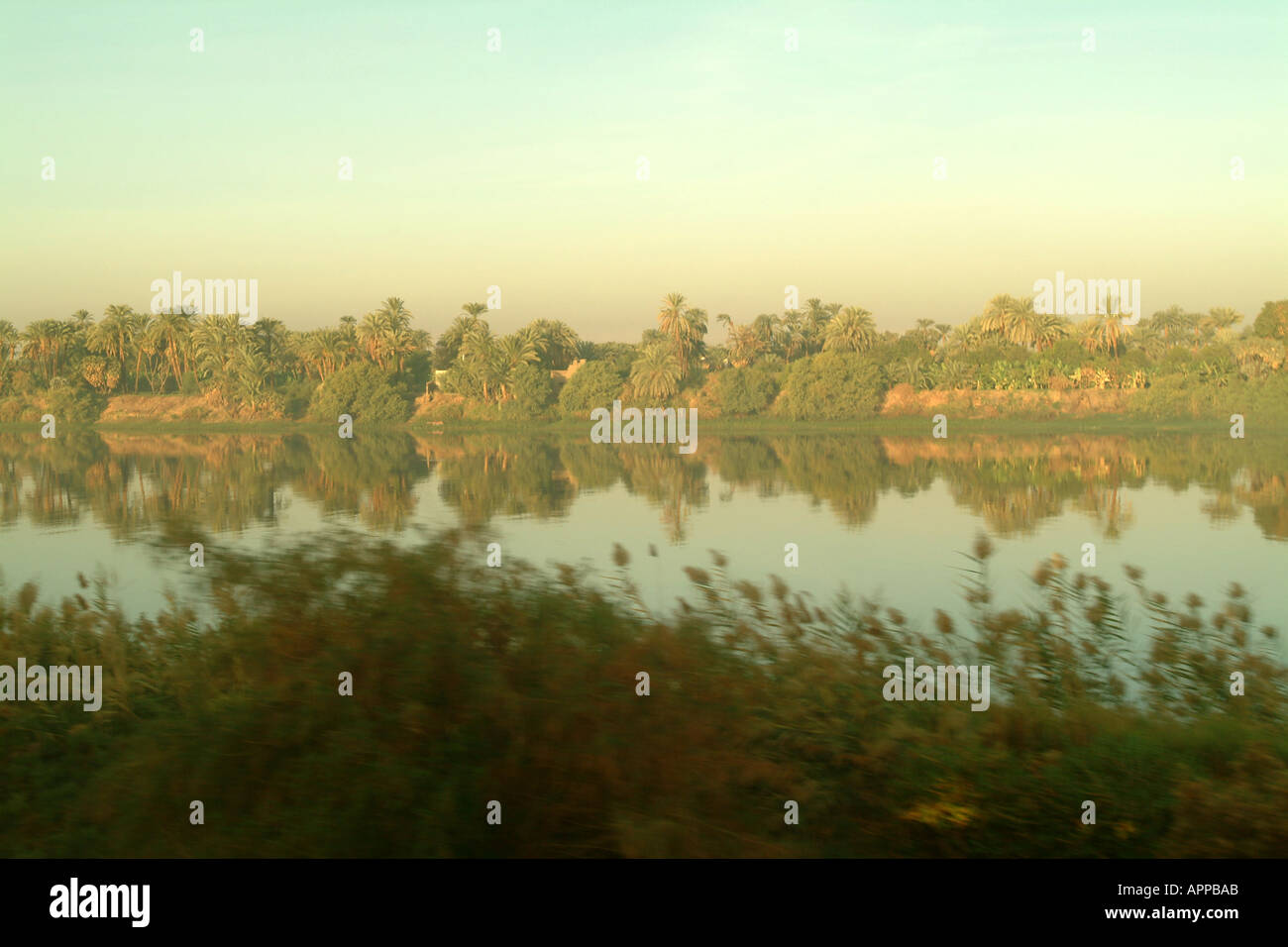 View of the Egyptian countryside and Nile river from the train Stock ...