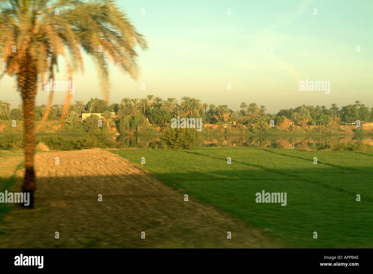 View of the Egyptian countryside from the train Stock Photo - Alamy