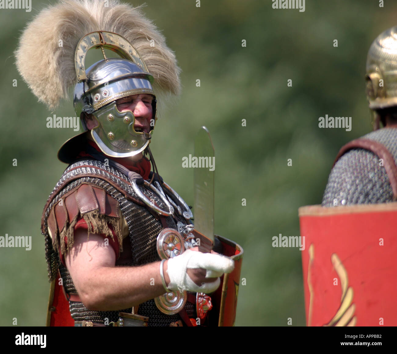 Roman Centurion addresses his troops Stock Photo - Alamy