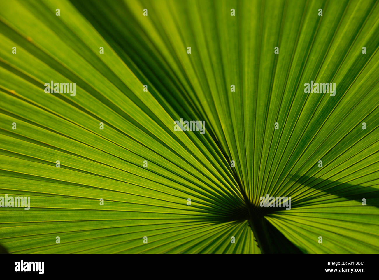 Upright format hi-res stock photography and images - Alamy