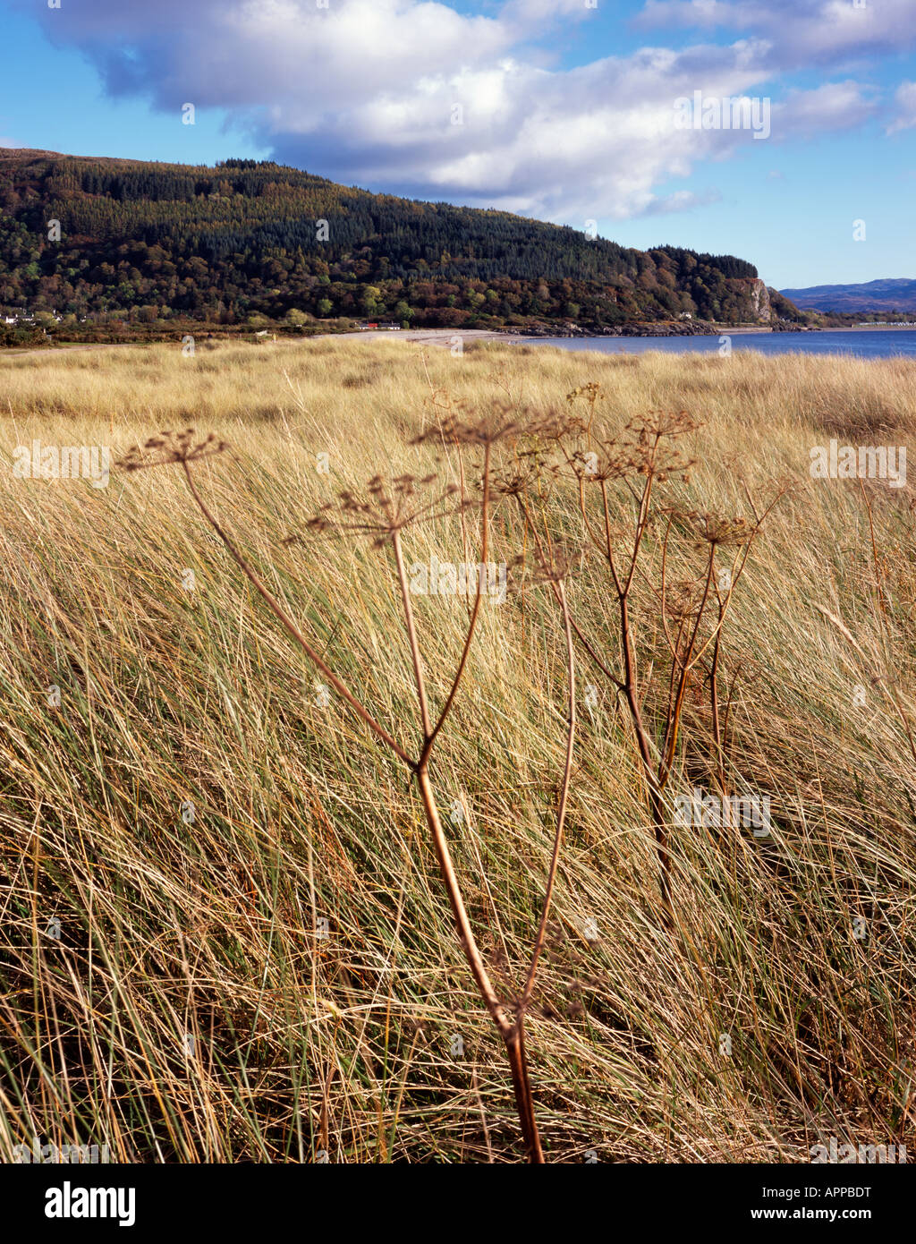 Benderloch oban hi-res stock photography and images - Alamy