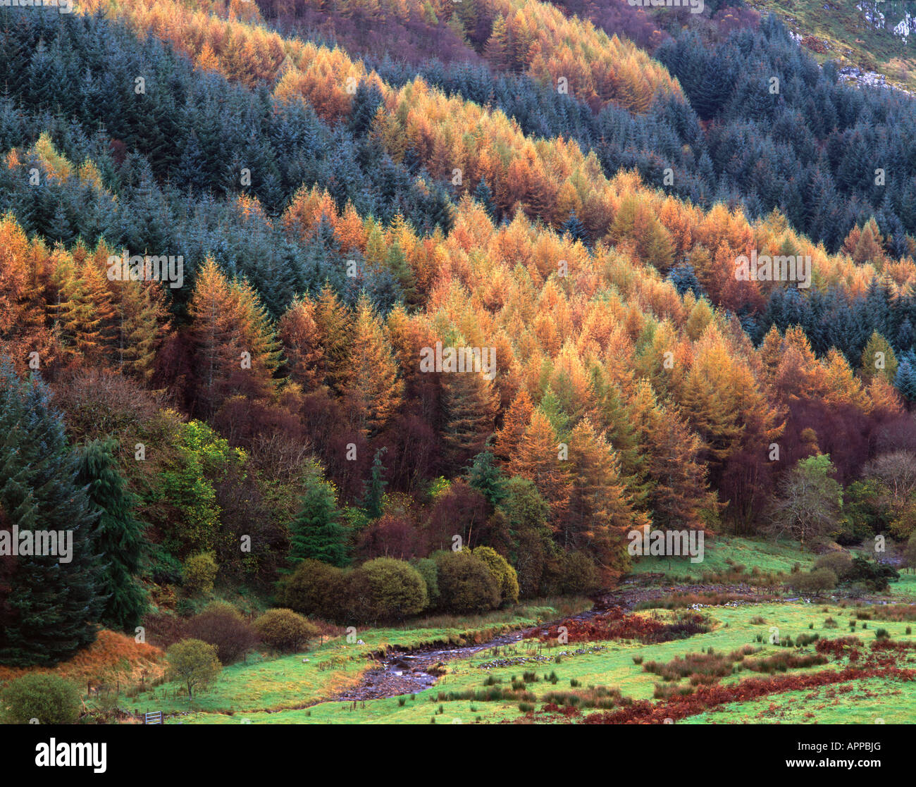Kilmore west hi-res stock photography and images - Alamy