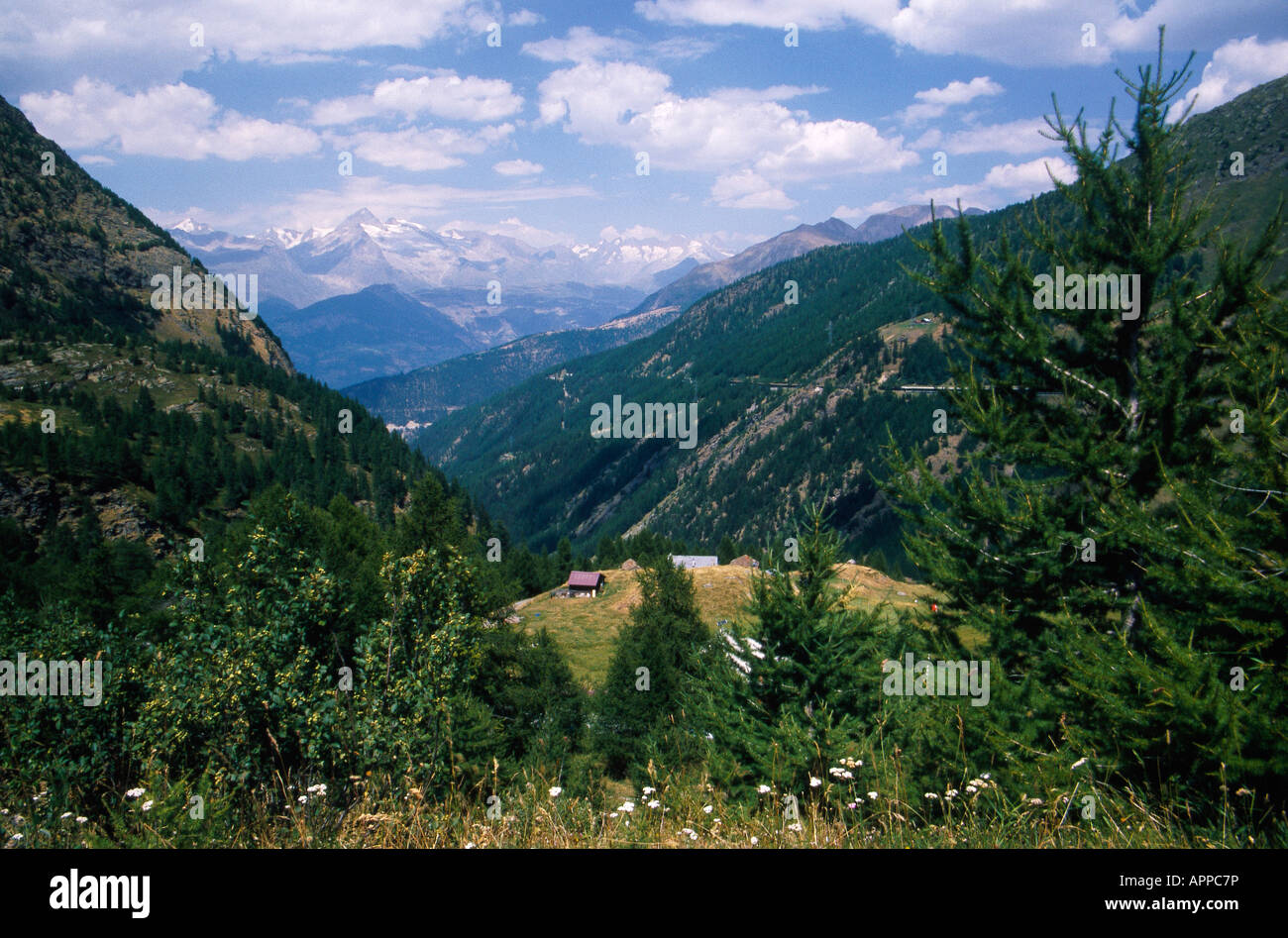 SIMPLON PASS. VALAIS. SWITZERLAND Stock Photo - Alamy