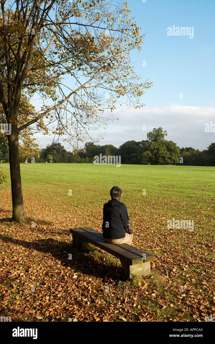 Solitary figure on bench hi-res stock photography and images - Alamy