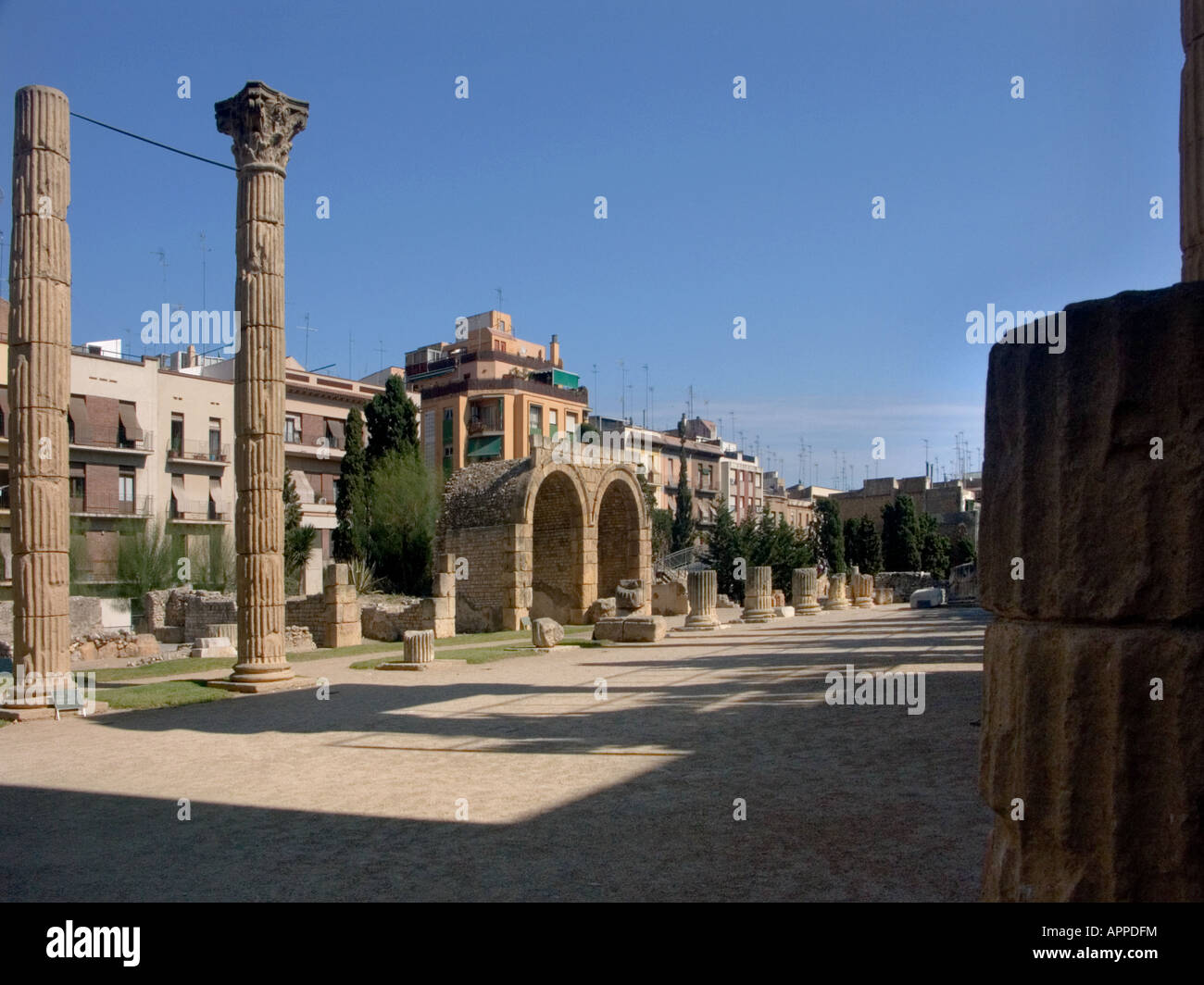 Columns of the central nave of the Roman local colonial city forum of ...