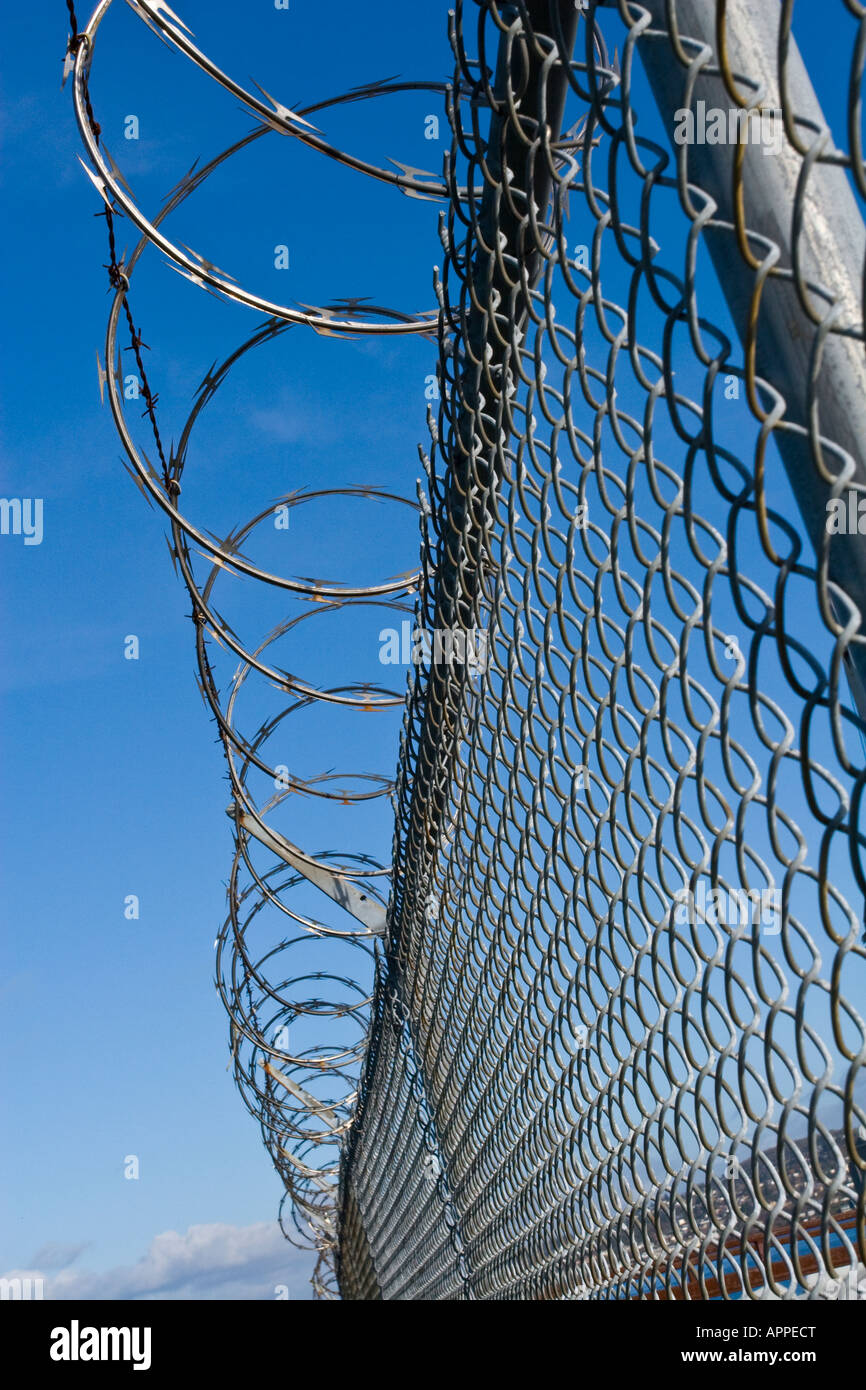 fence with razor wire on top Stock Photo - Alamy