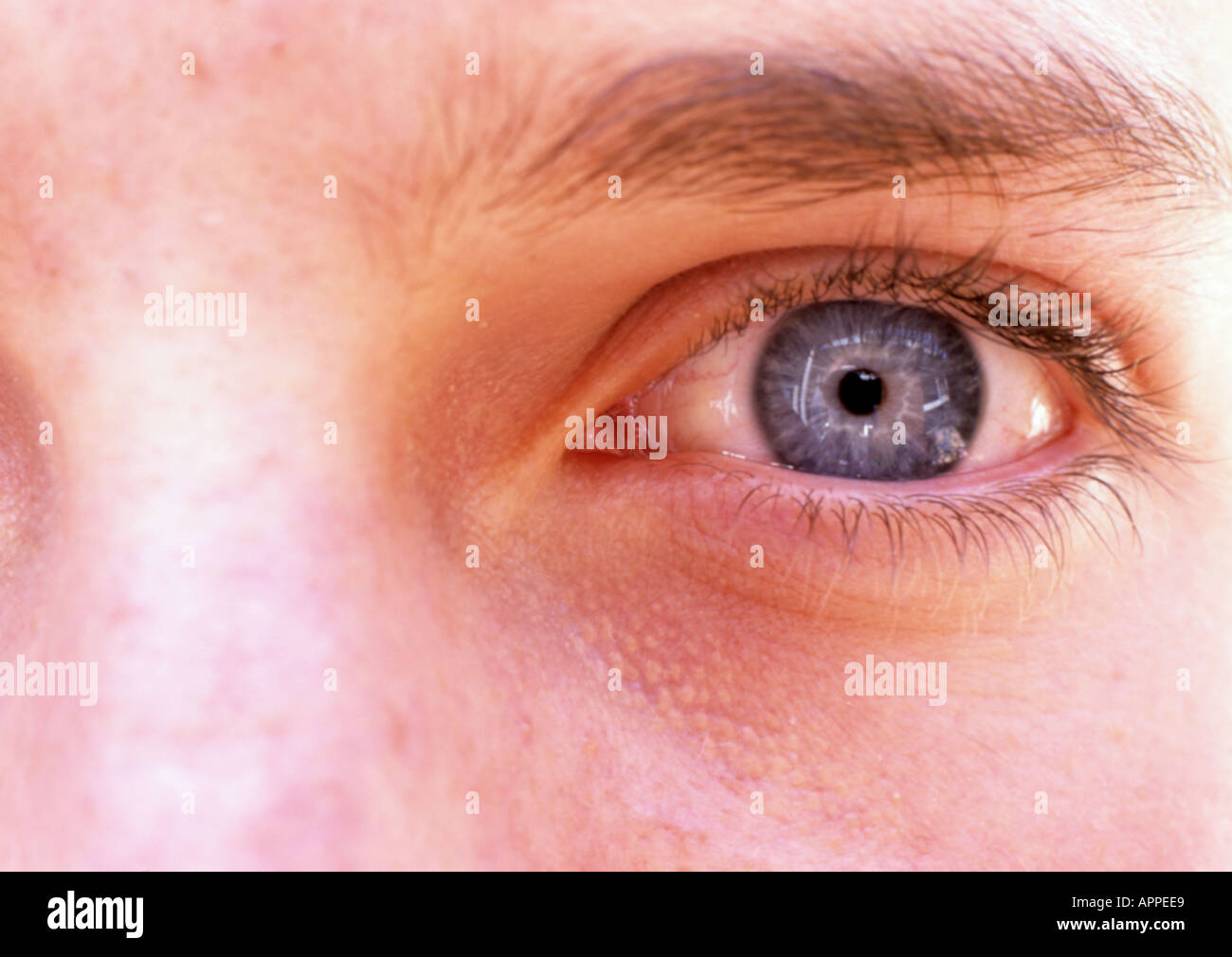 Closeup of the left blue eye of a young white man England UK Stock ...