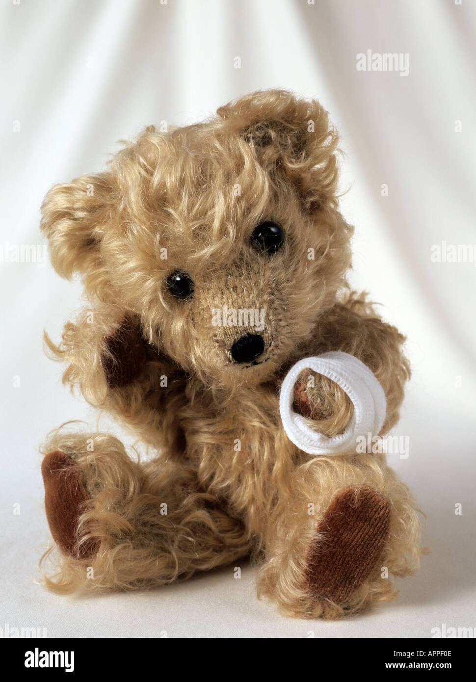 Teddy bear looking sad with a bandaged paw on a white backdrop. England ...