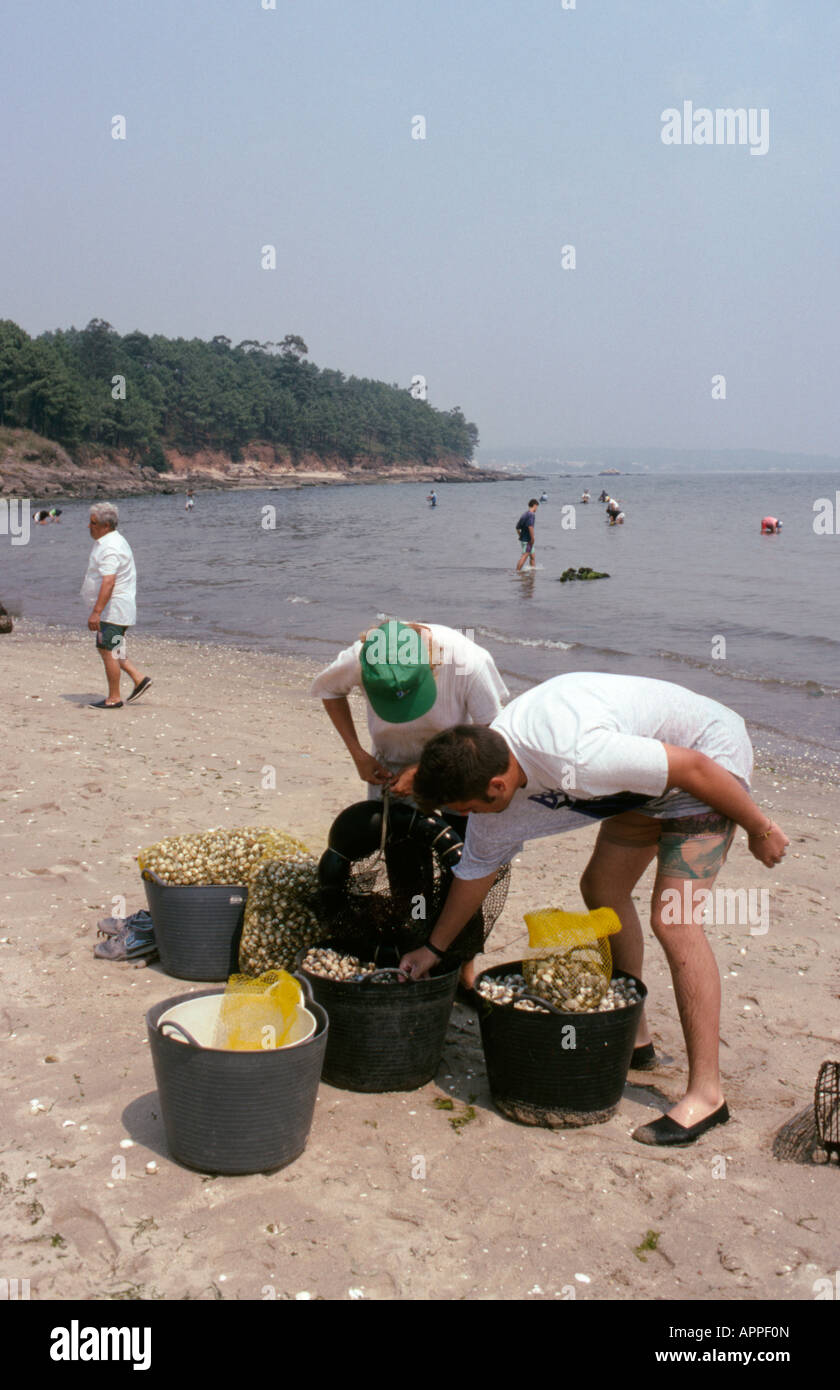 Workers checking their catch after digging for berberichos, cockles, at ...