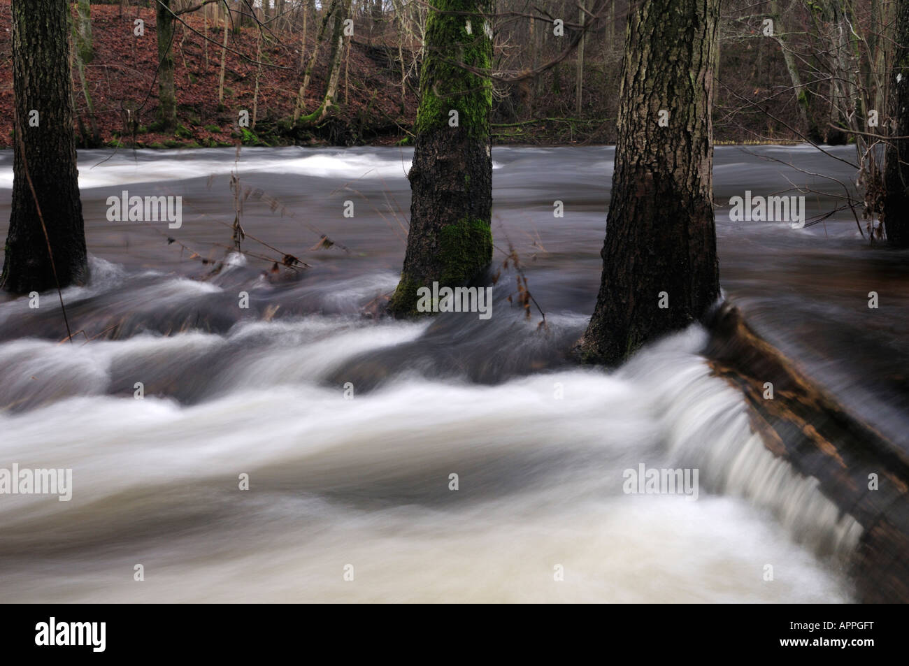 Flood natural disaster emergencies and disasters landscape hi-res stock ...