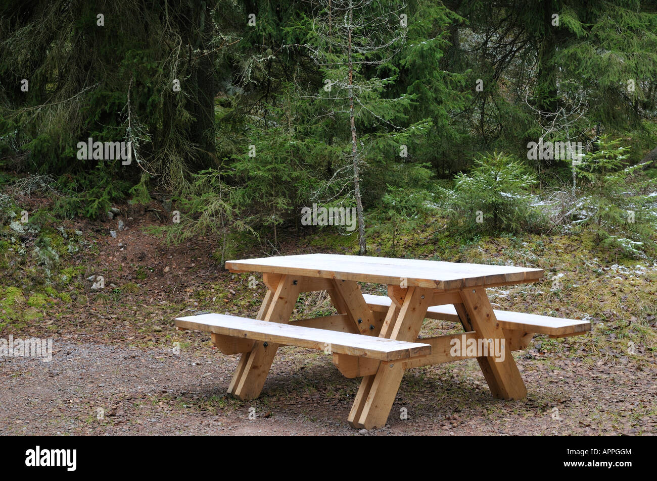 New made picnic table in forest Stock Photo - Alamy