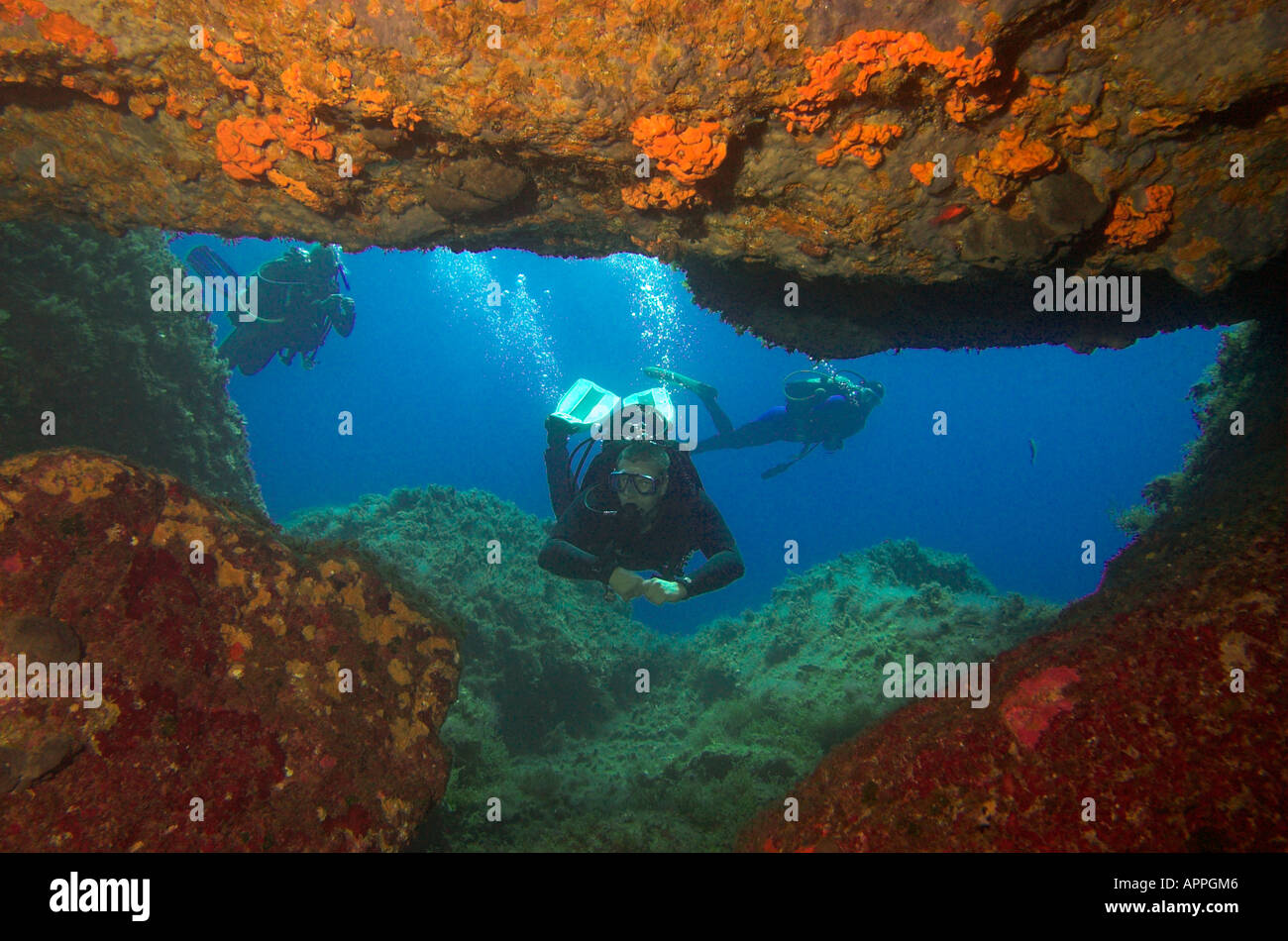 Scuba diver underwater by entrance to cave with colourful sponges on ...
