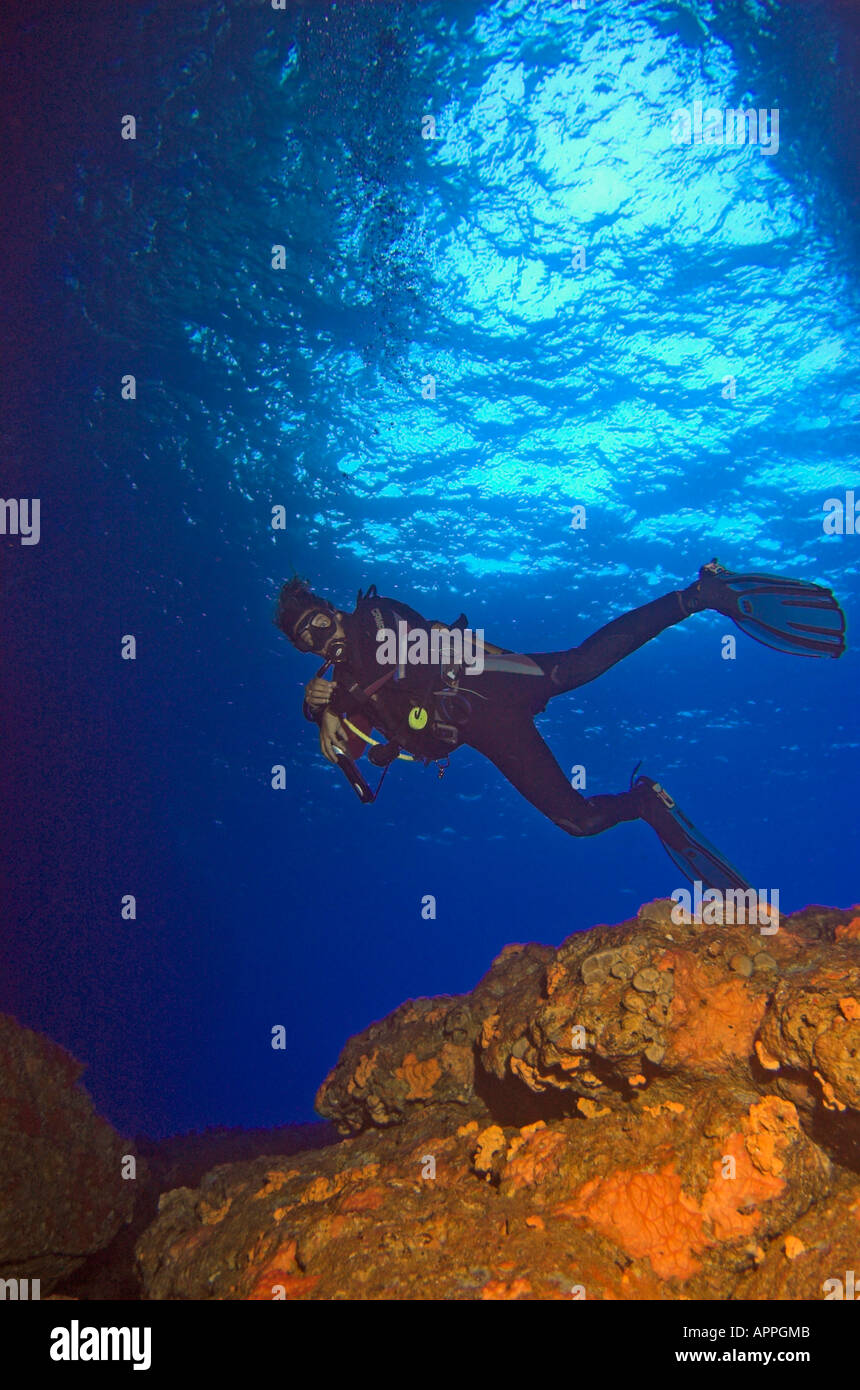 Looking up at scuba diver underwater near silhouette with colourful ...