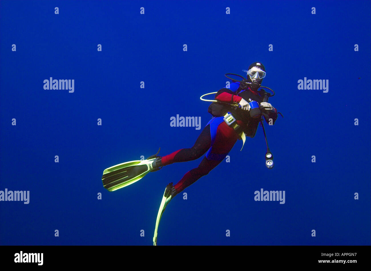 The diver hi-res stock photography and images - Alamy