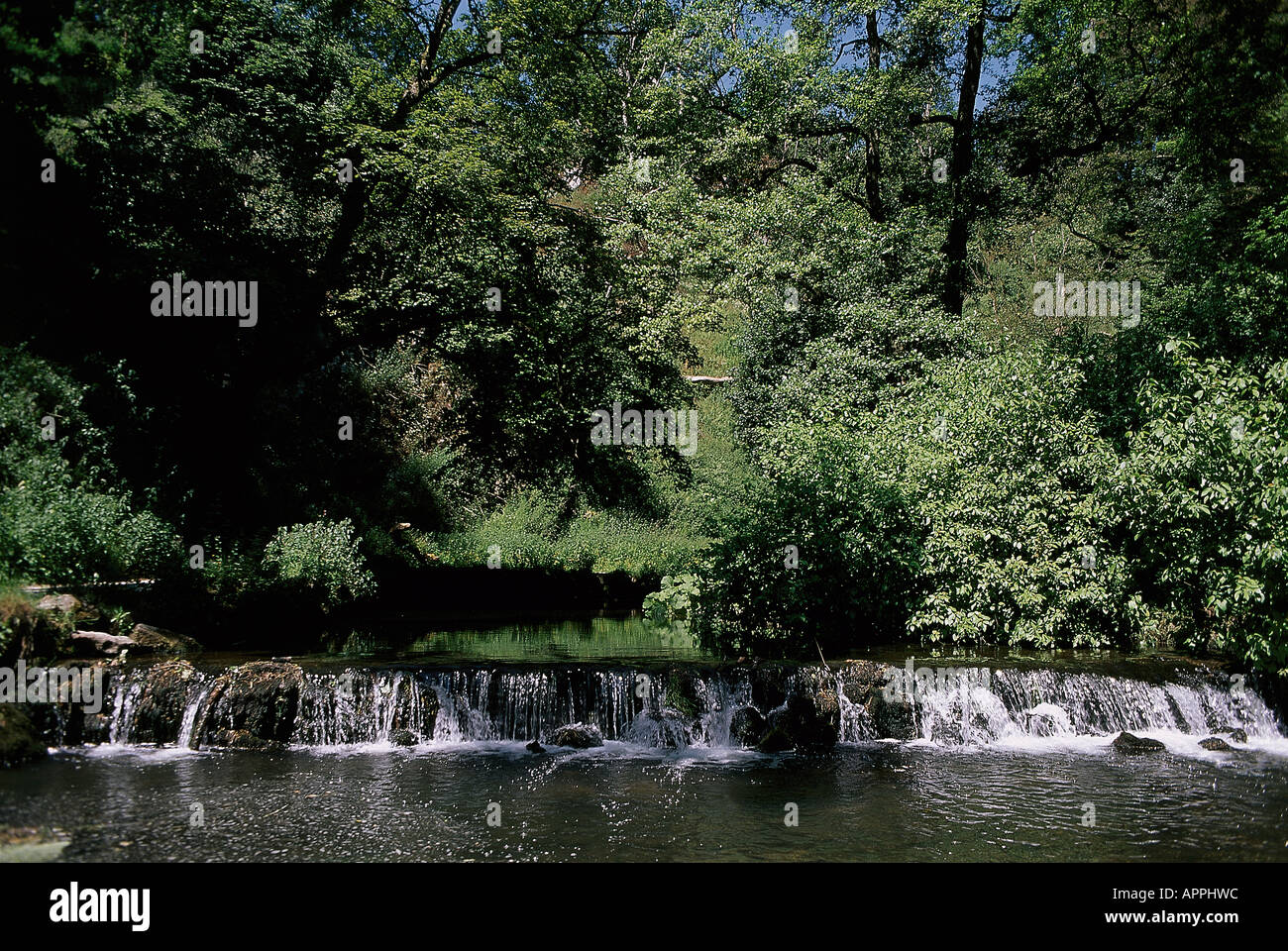 The River Wye falling through wooded Peak District land at Millers Dale ...