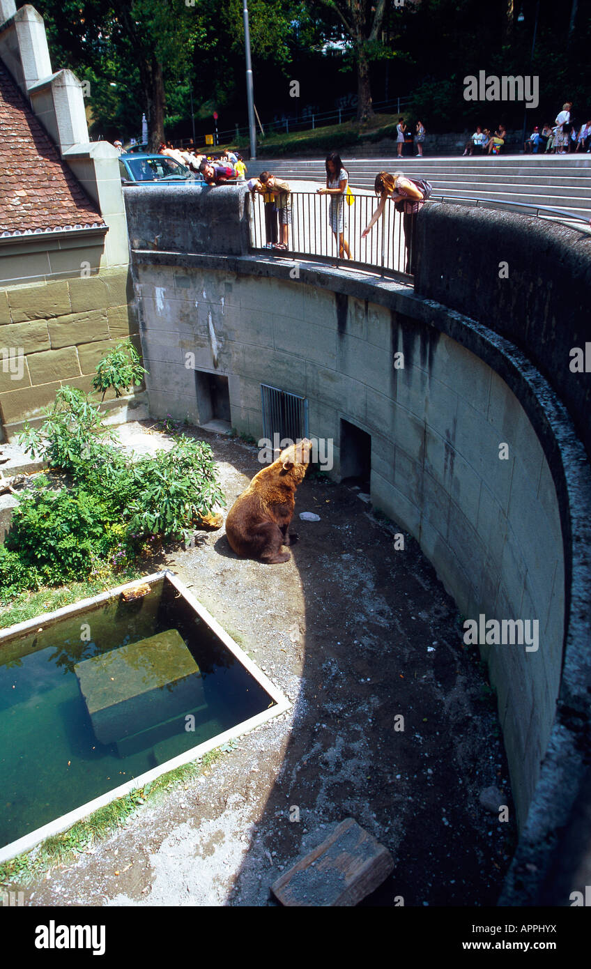 The bear pit in bern hi-res stock photography and images - Alamy