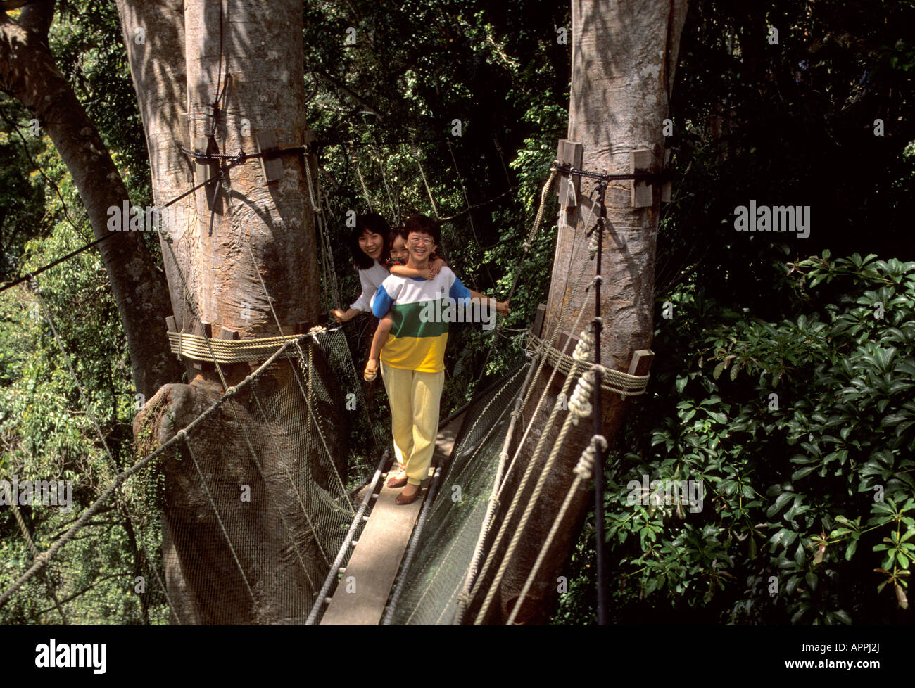 Visitors on rainforest canopy walkway Poring Hot Springs Sabah Malaysia ...