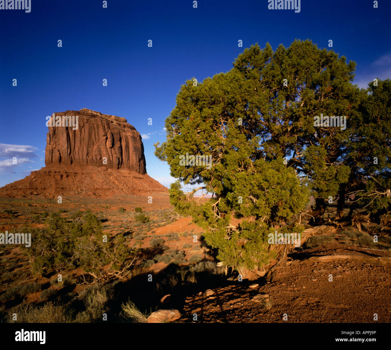 Usa arizona monument valley erosion navajo tribal land hi-res stock ...