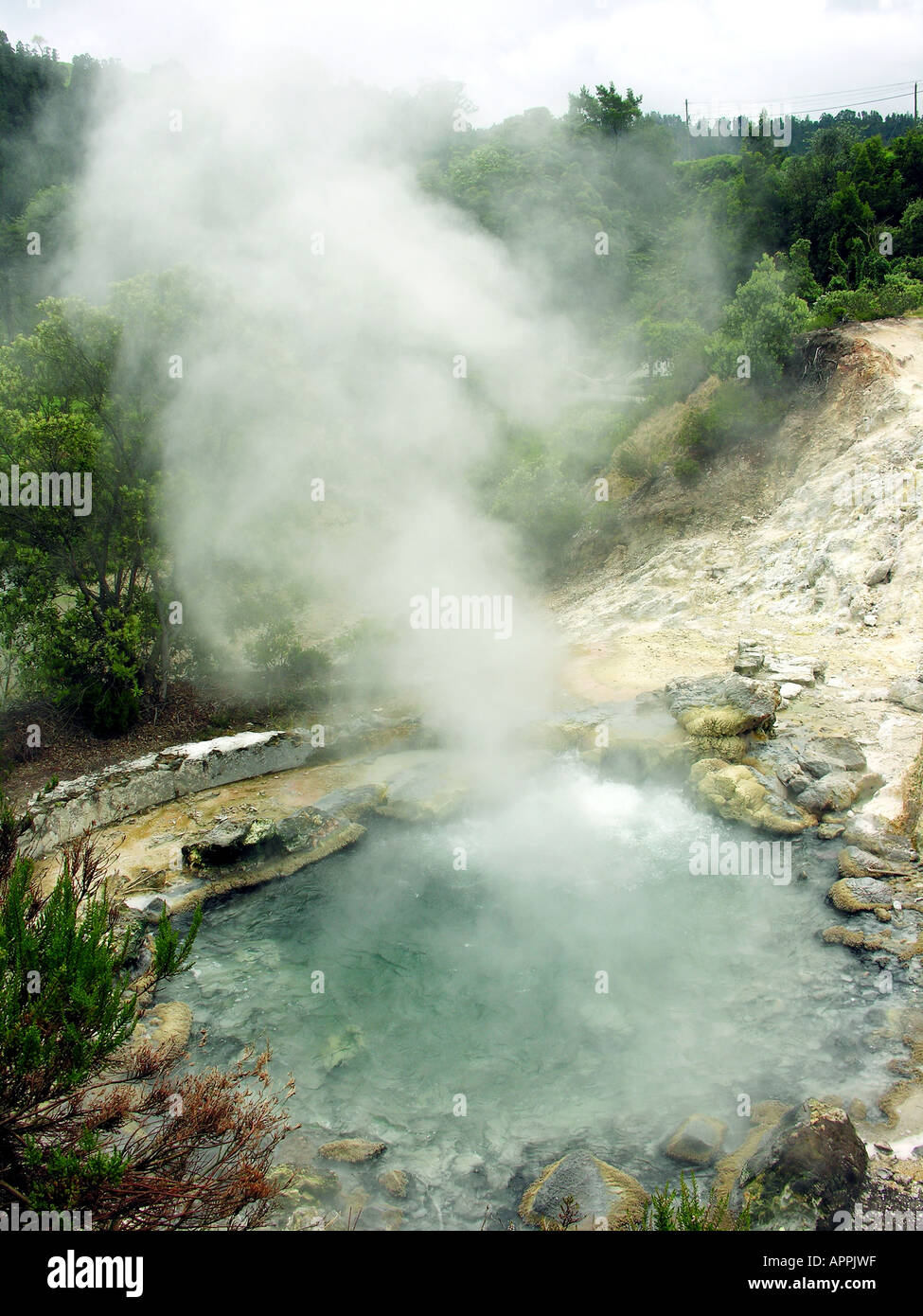 Volcanic hot springs Azores Stock Photo - Alamy