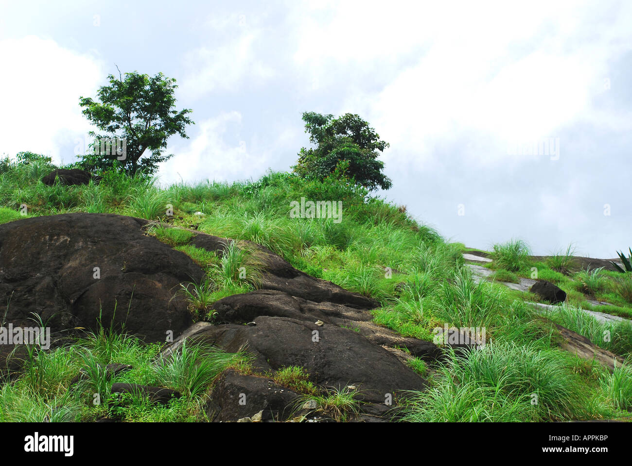 Venmony hi-res stock photography and images - Alamy