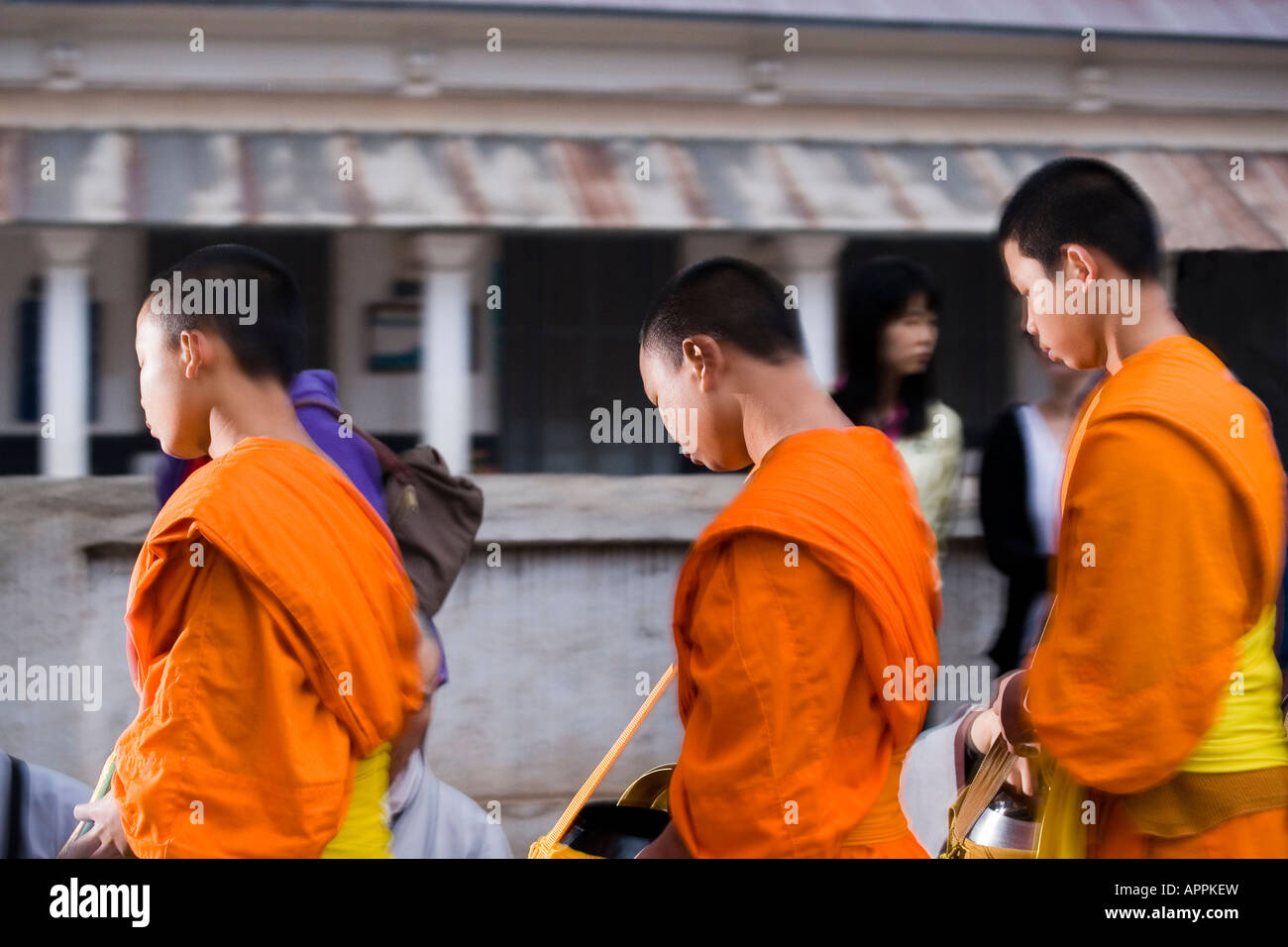 Ceremony of Giving Alms. A Procession of Buddhist Monks Receive Alms ...