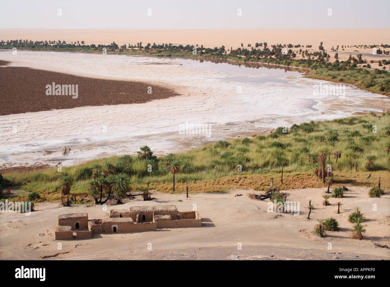 oasis bezema in the libyan desert Stock Photo - Alamy
