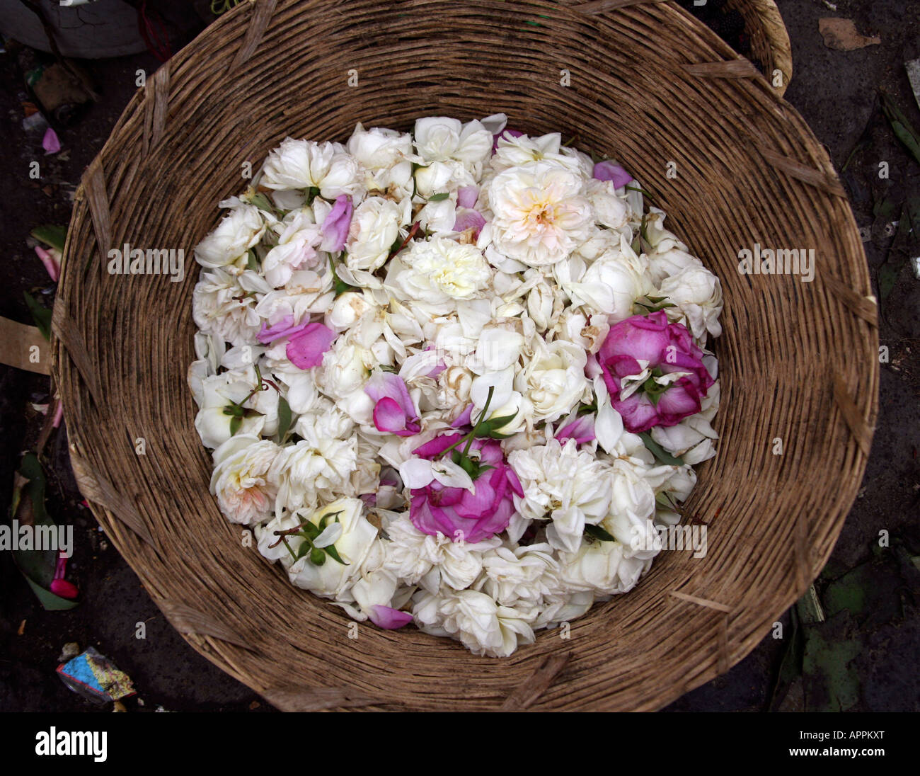 Basket of Flowers Stock Photo - Alamy