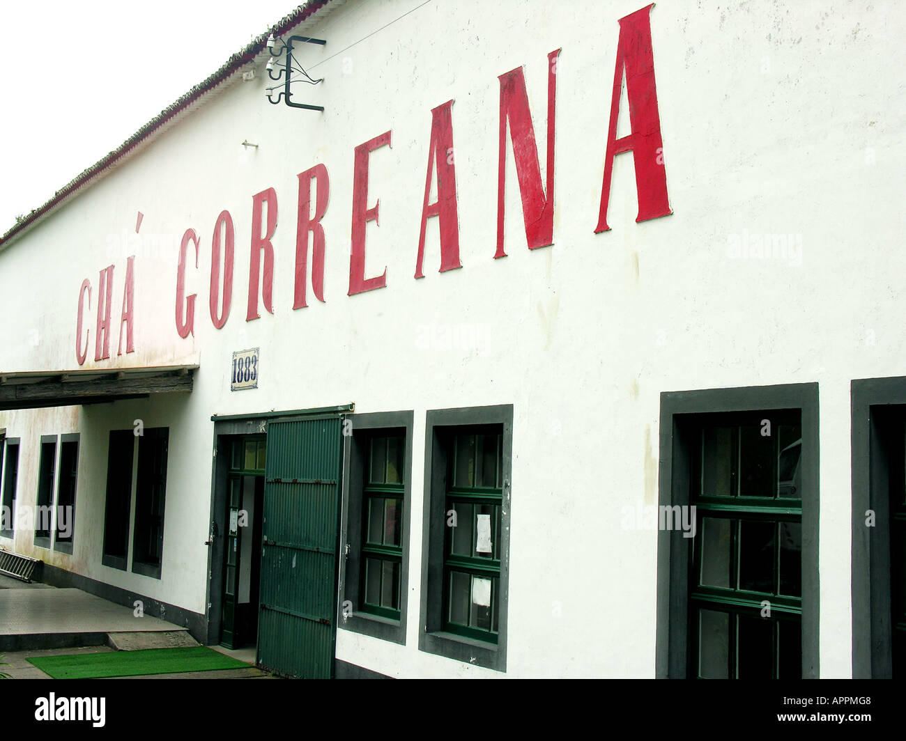 Sao Miguel island Gorreana tea factory Azores Islands off the coast of ...