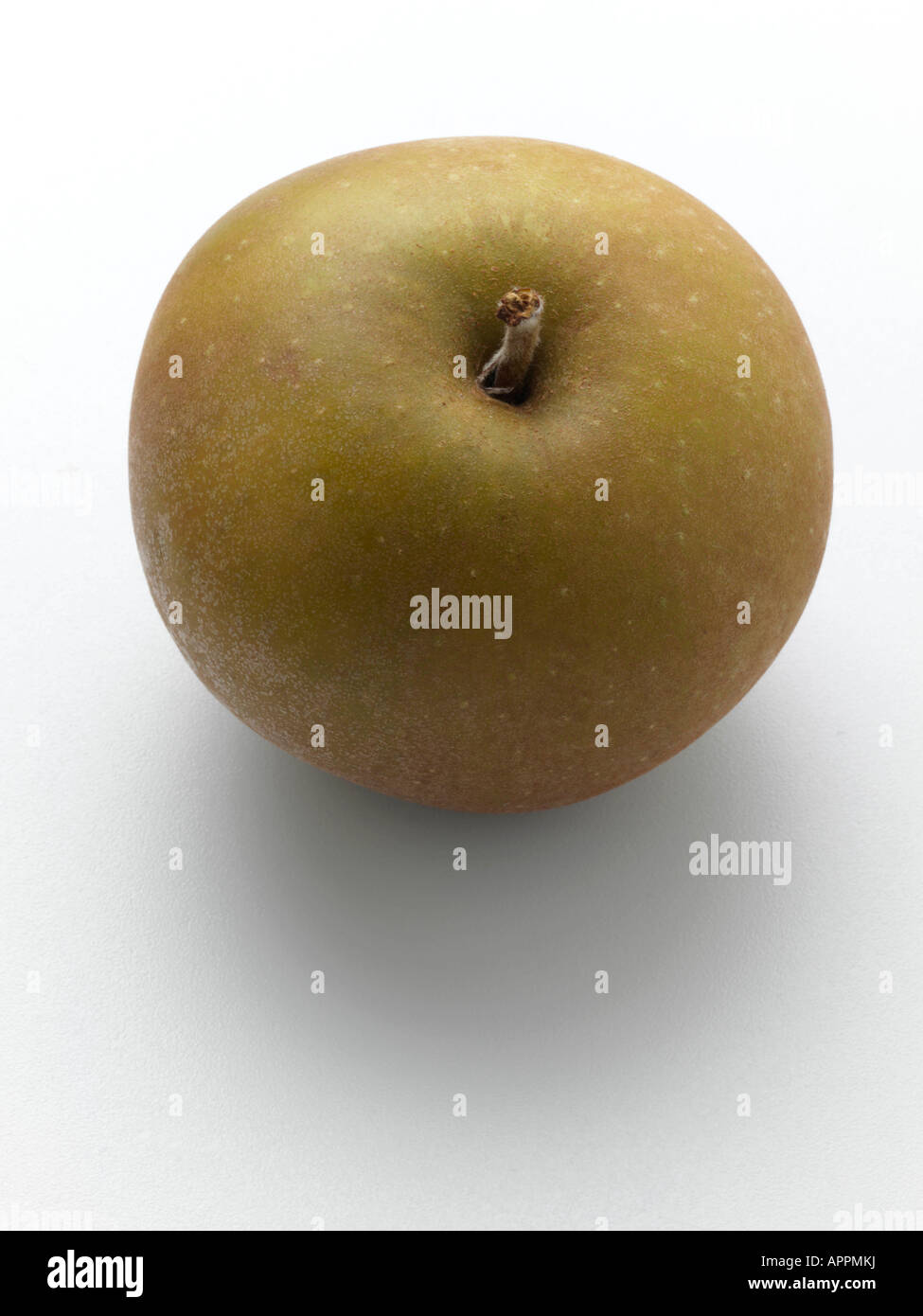 An Egremont Russet apple on a white background editorial food Stock ...