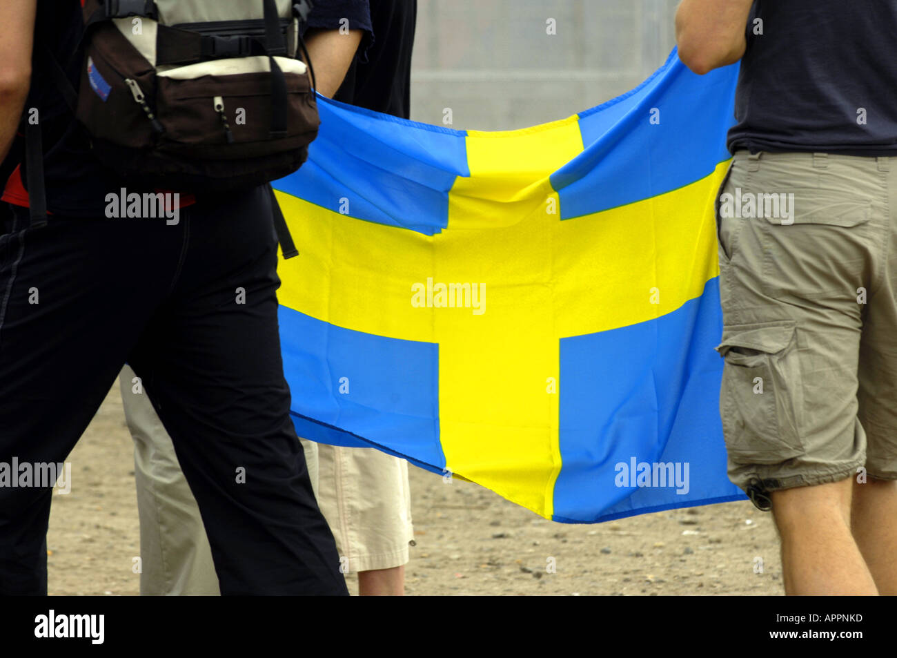 sweden swedish fans football flags men male Stock Photo - Alamy